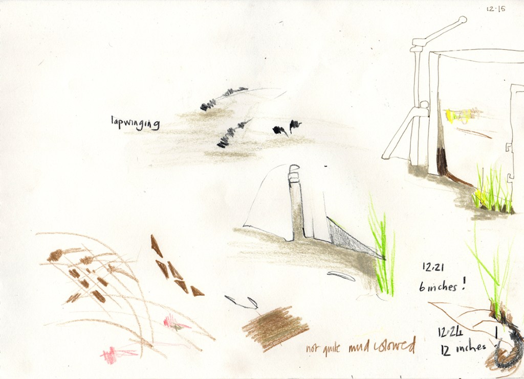 Purton 6 72dpi – drawing in the field