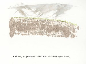 drawing in the field – blog – work in progress by Kate Foster ...
