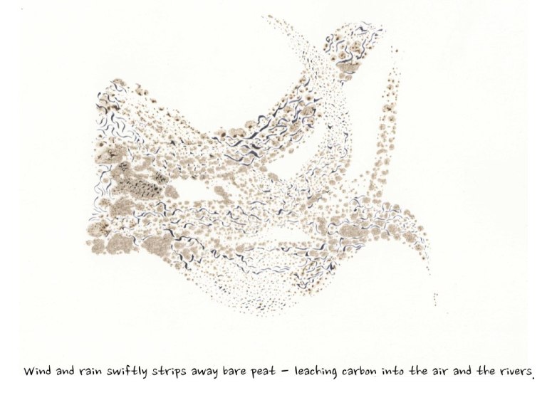 Mending the Blanket – drawing in the field